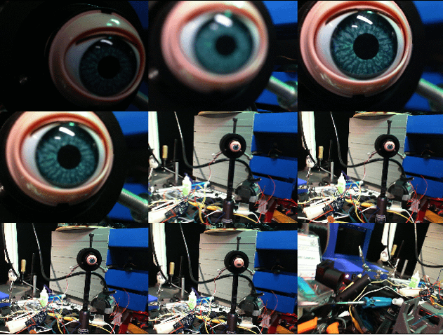 Overcoming biological motion and purkinje reflections – M. Everett Lawson